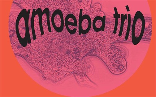 Τι γυρεύει μια αμοιβάδα στη Στέγη; | clickatlife