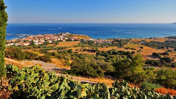 Samos Young Artists Festival: 7 ημέρες δημιουργίας | clickatlife