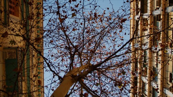 Μη κοιτάτε ψηλά, μας...φωτογραφίζουν | clickatlife