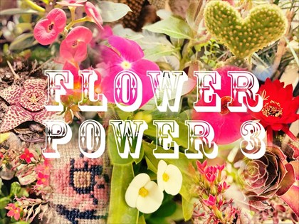 «Flower Power 3» σε ένα «κήπο» γεμάτο όπου λουλούδια και φυτικά μοτίβα ...